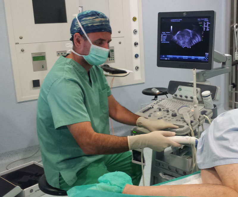 Ecografía Transrectal o Endorrectal